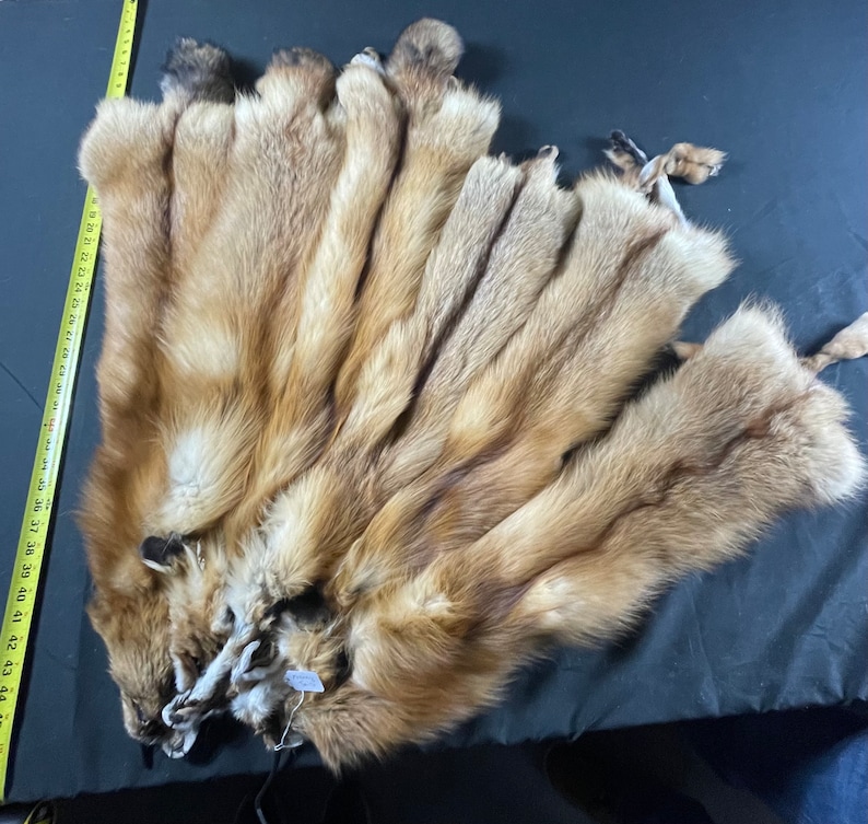 Tanned Red Fox Professional Soft Tanned Silky Fur - Etsy