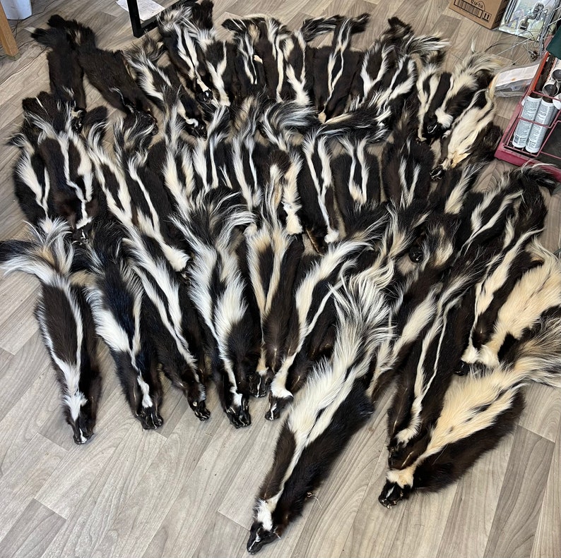 Tanned Skunk Hide Real Fur Ethically Sourced Fur Skunk Pelt Fly Tying ...