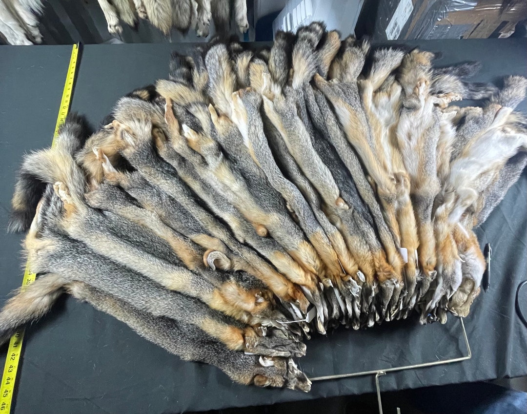 Fox Fur Tanned Real Fur Grey Fox Pelt Fur Wallhanger Decor - Etsy
