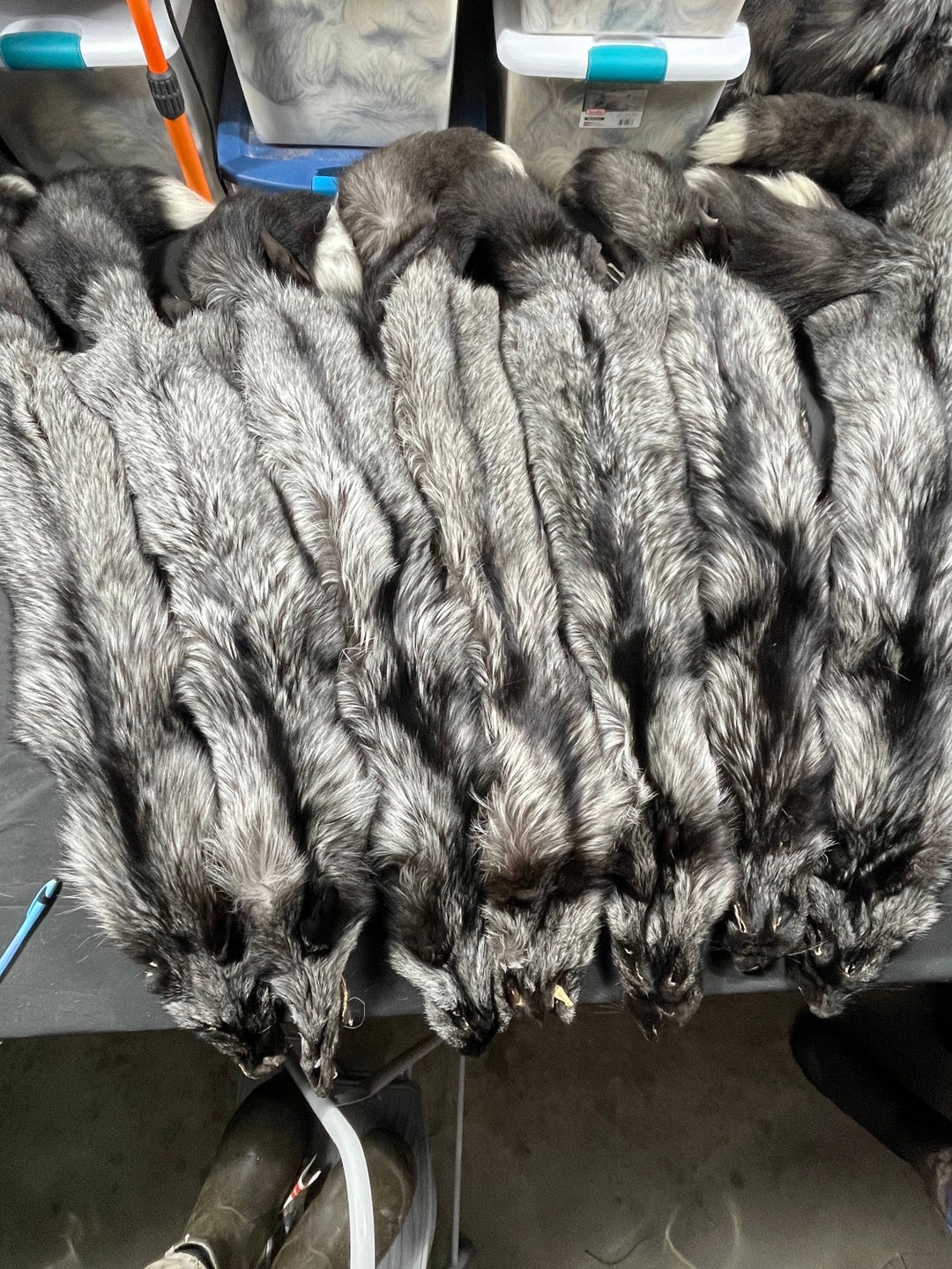 Tanned Fox Silver Fox Soft Tanned 2xl Real Fur - Etsy