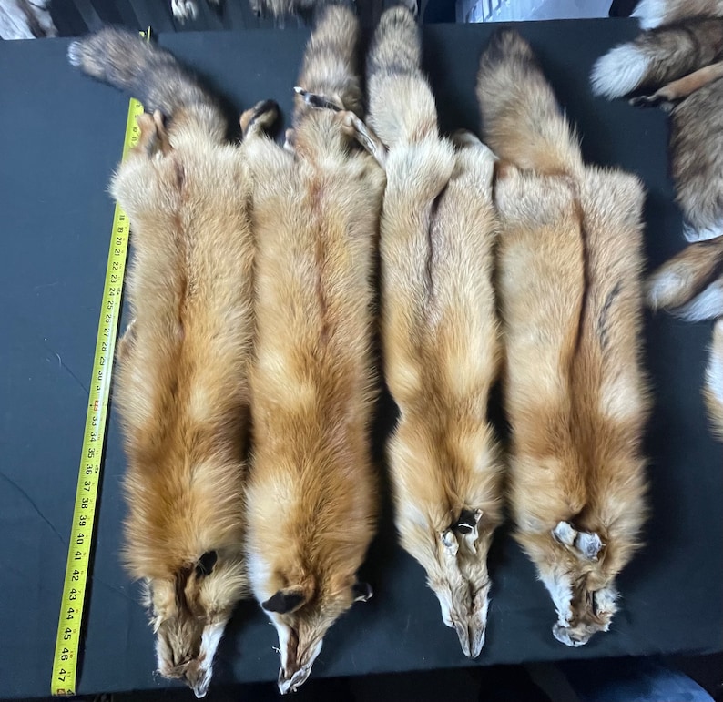 Tanned Red Fox Professional Soft Tanned Silky Fur - Etsy