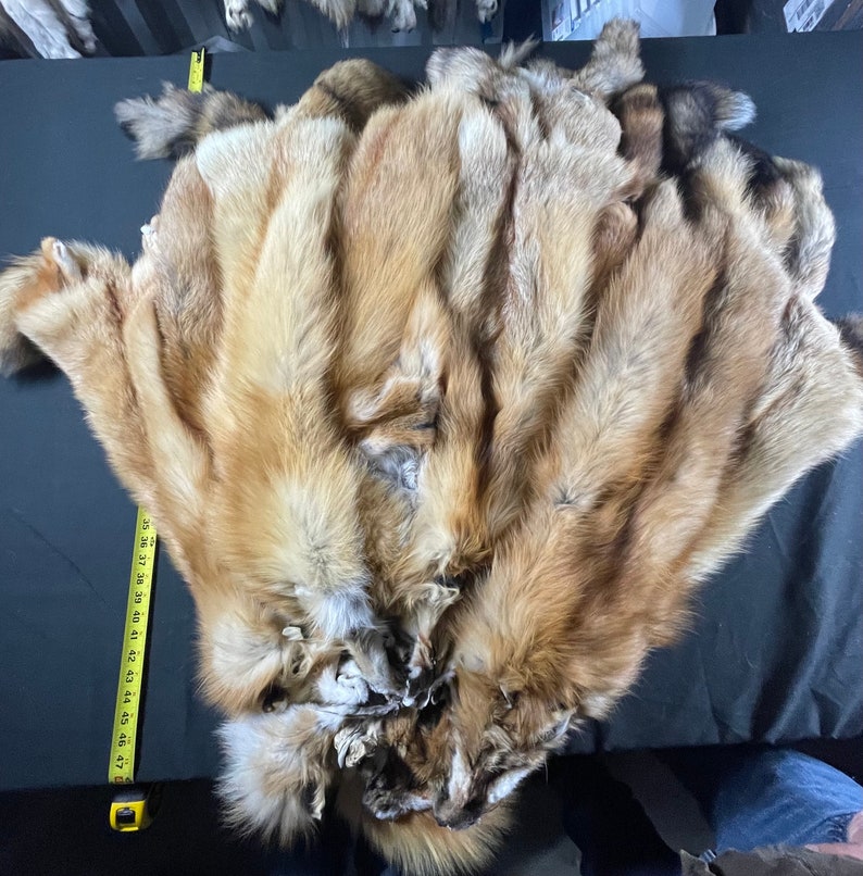 Tanned Red Fox Professional Soft Tanned Silky Fur - Etsy