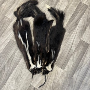 Tanned Skunk Hide Real Fur Ethically Sourced Fur Skunk Pelt Fly Tying ...
