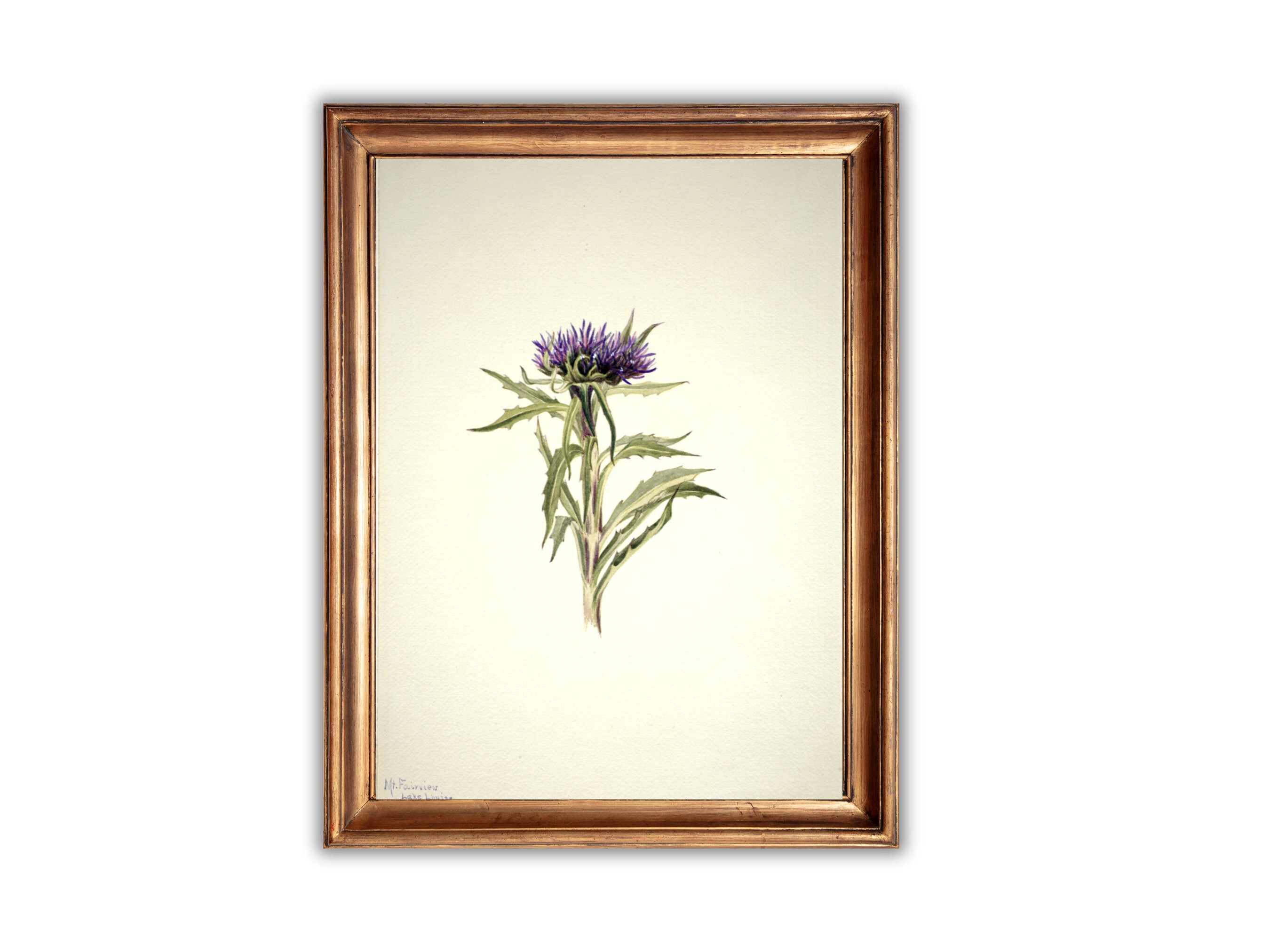 Purple Flower Art Print Vintage Watercolor Botanical Artwork Instant ...