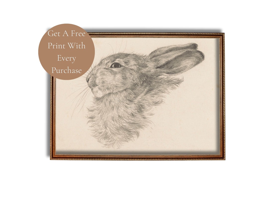 Vintage Rabbit Sketch Print, Spring Artwork Easter Bunny Drawing ...