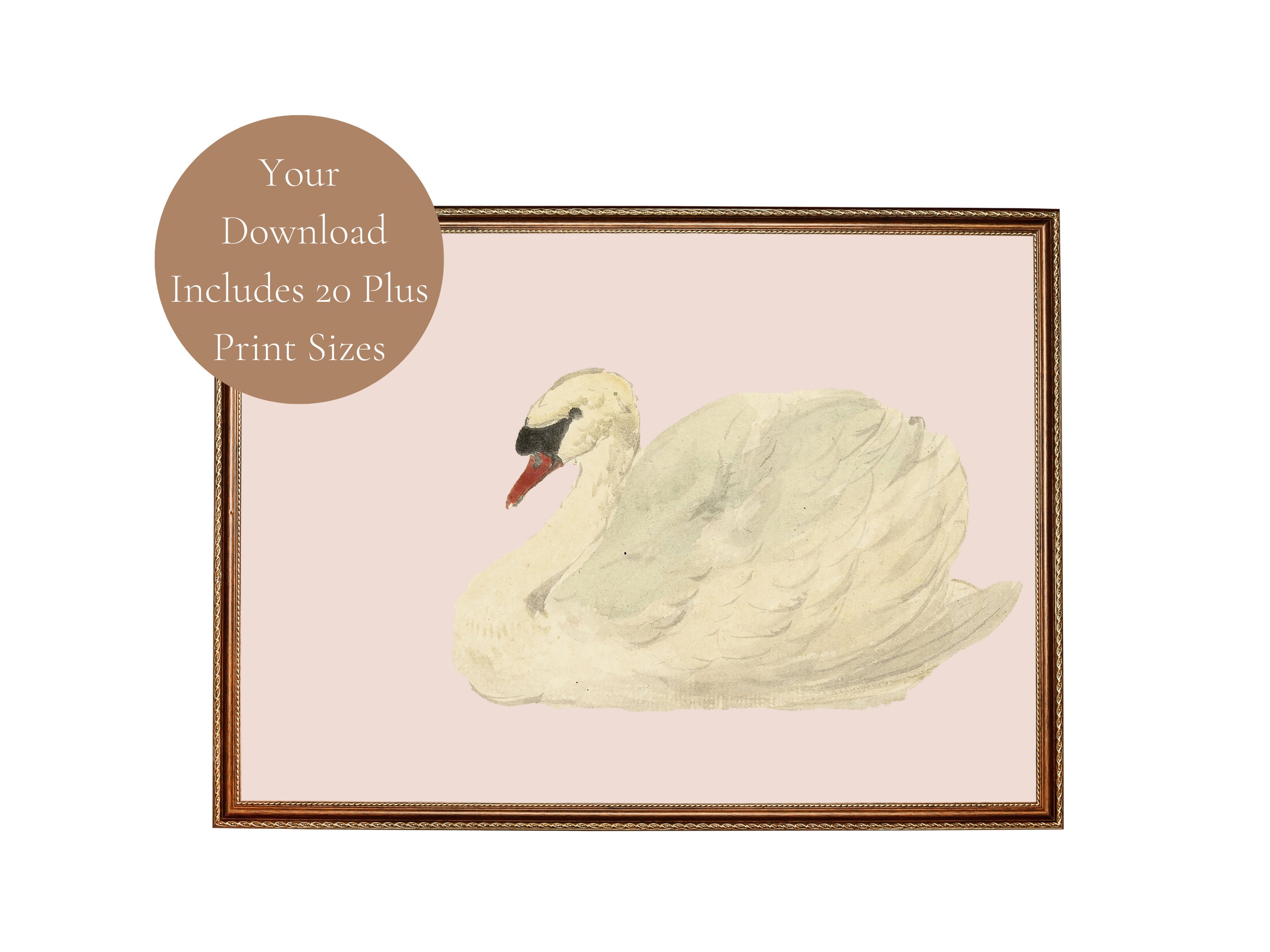 Preppy Pink Bow Coquette Aesthetic Prints, Soft Pink Swan Artwork, Pink ...