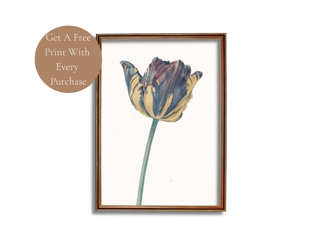 Printable Tulip Art Print Spring Botanical Artwork Instant Digital ...
