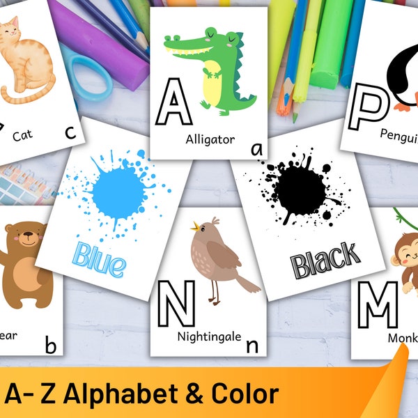 Color Flash Cards - Etsy