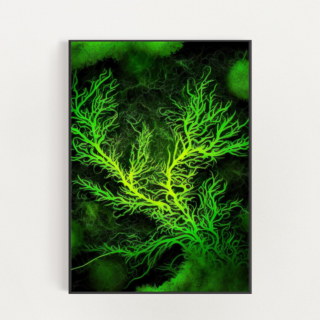 Moss Wall Print Green and Black Moss Print Moss Wall Art - Etsy
