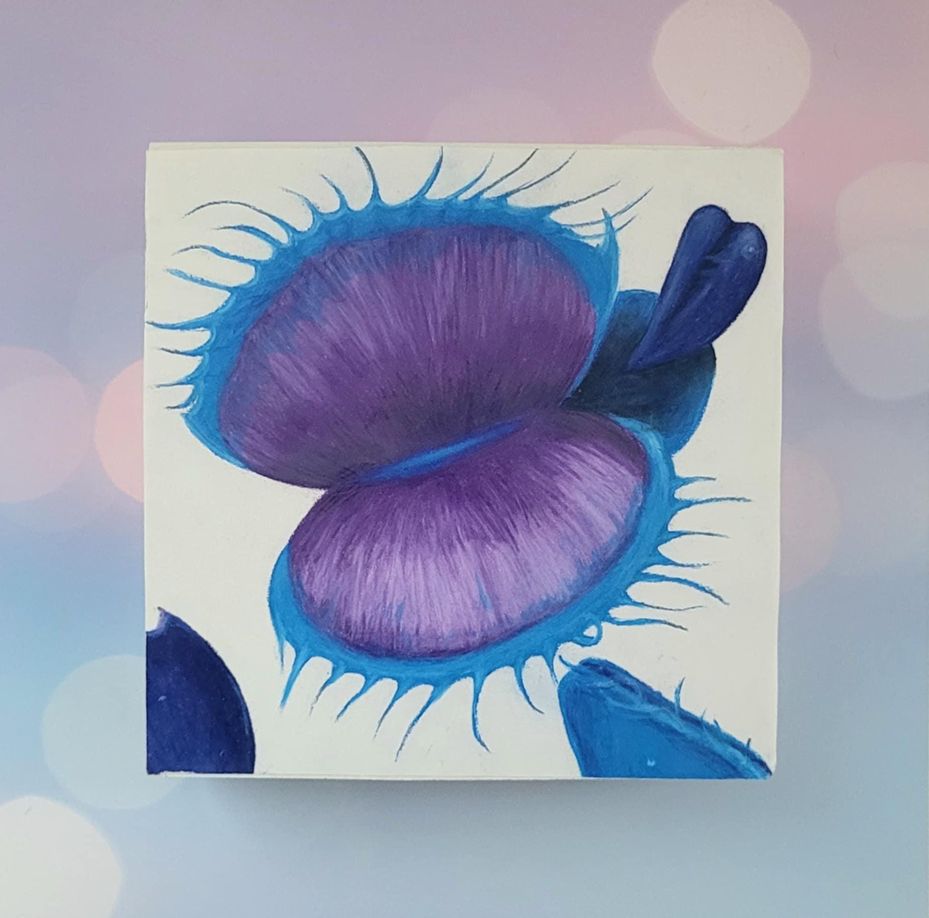 Original Blue Venus Flytrap Drawing - Prismacolor Traditional Artwork ...