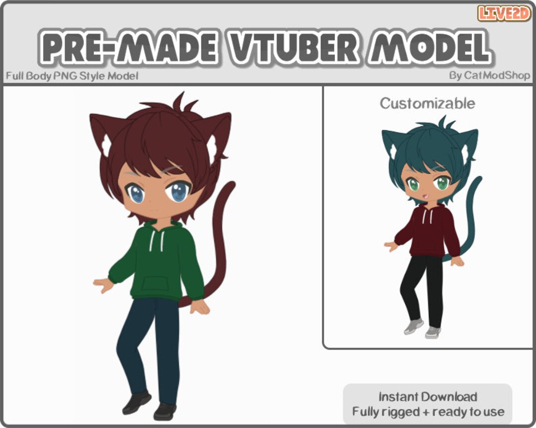 Premade Vtuber Live2d Cat Model (pngtuber) | Low Budget | Rigged ...