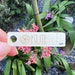 Tear off Custom Hang Tags- Tear-off Tab- Display Cards - Tags- Price ...
