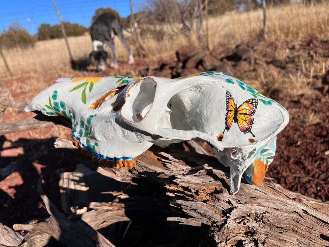 Hand Painted Decoupage Elk Skull - Etsy