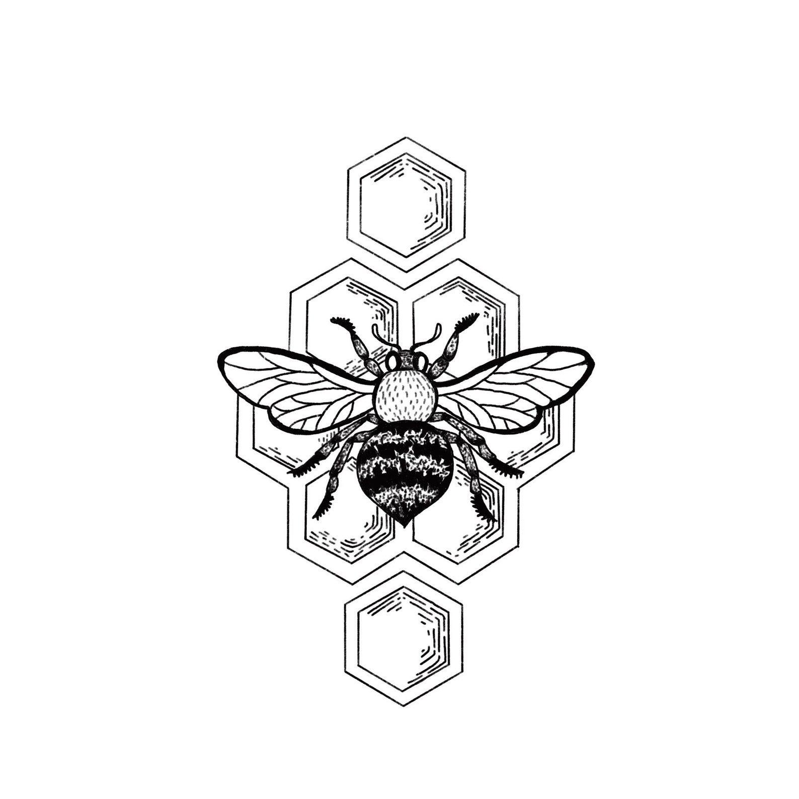 Fine Line Bee - Etsy