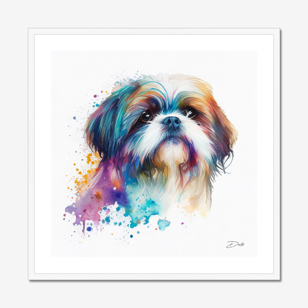 Shih Tzu shihtzu Watercolour Print - Etsy