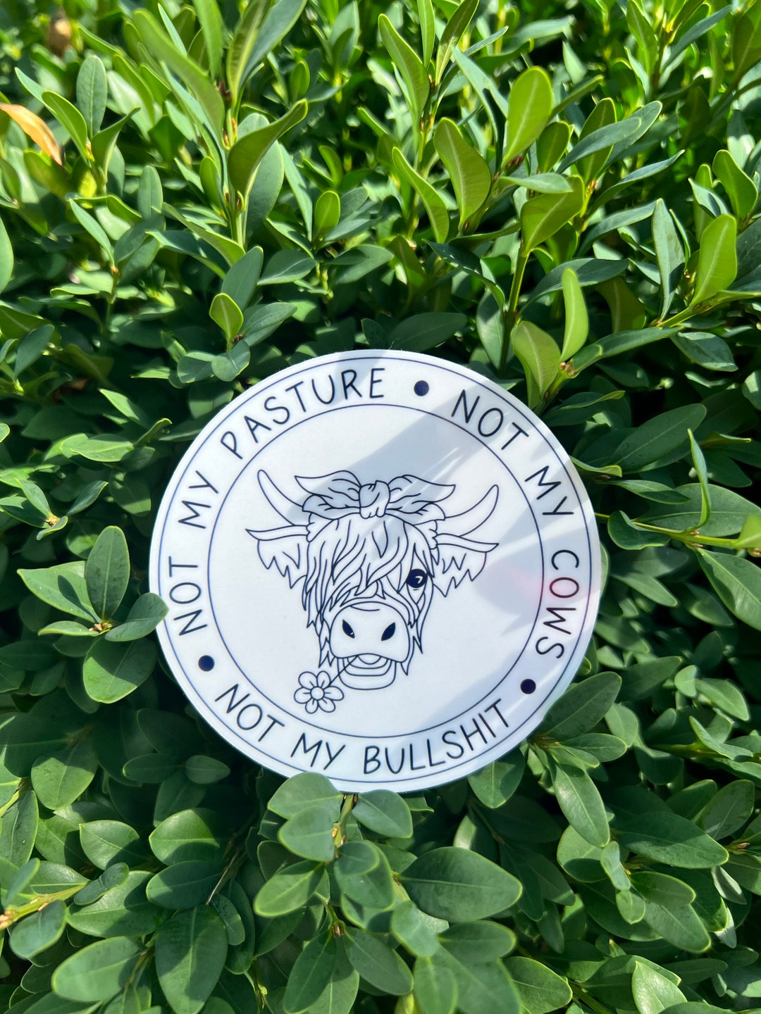Not My Pasture/not My Cow/not My BS Sticker - Etsy