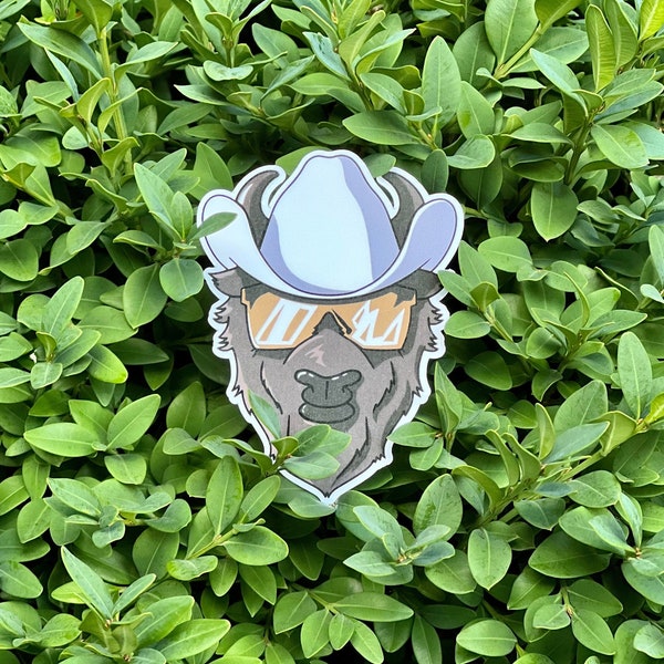 Colorado Buffaloes - Etsy