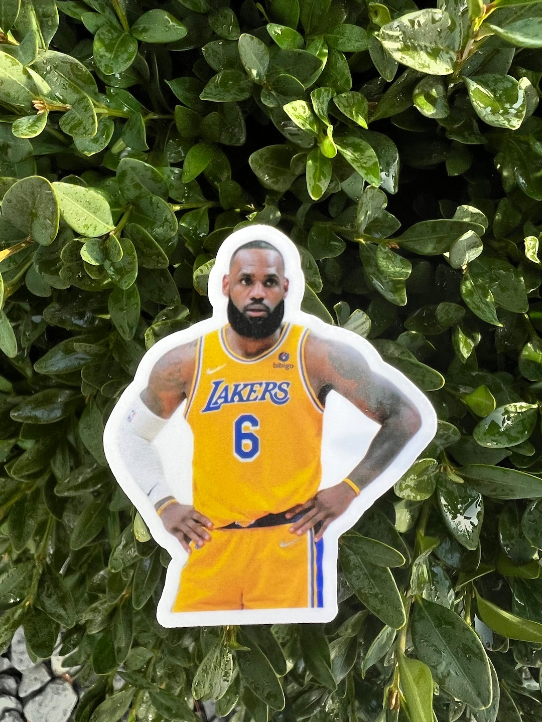 Lebron James Los Angeles Sticker Lebron James Lakers Sticker - Etsy