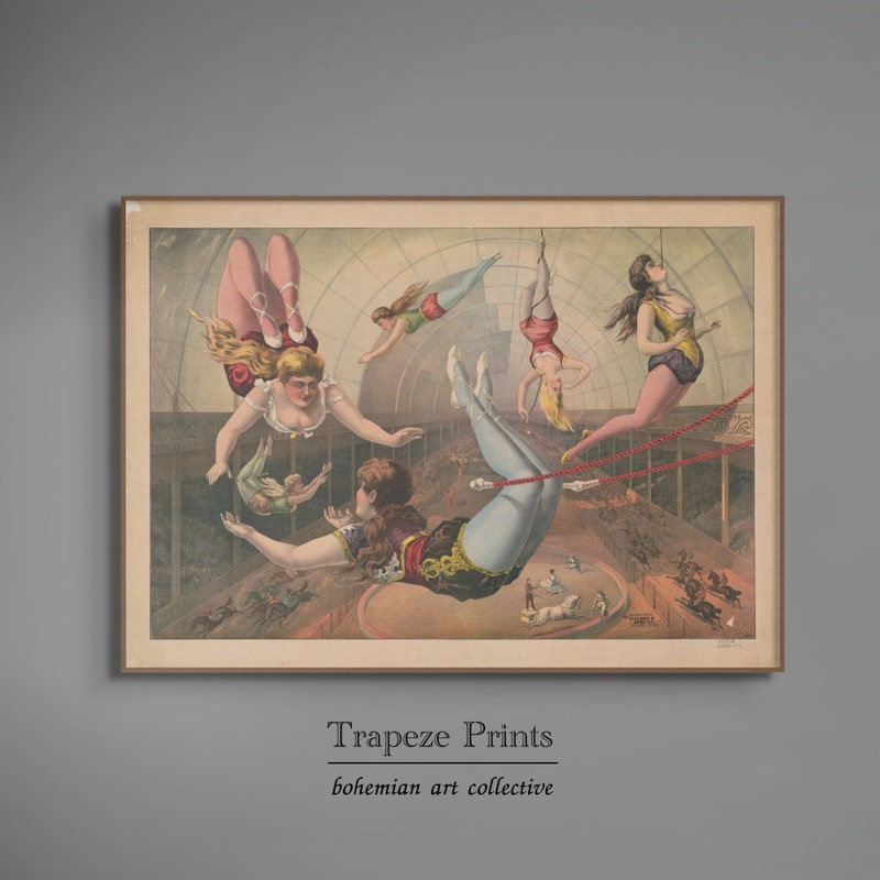 Circus Trapeze at Home - Etsy UK