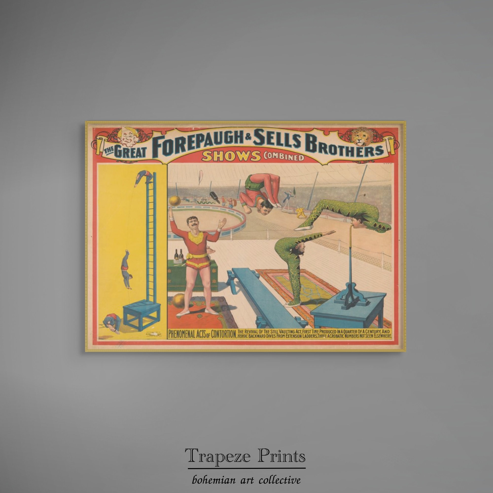 Vintage Phenomenal Acts of Contortion Print Cincinnati & New York ...