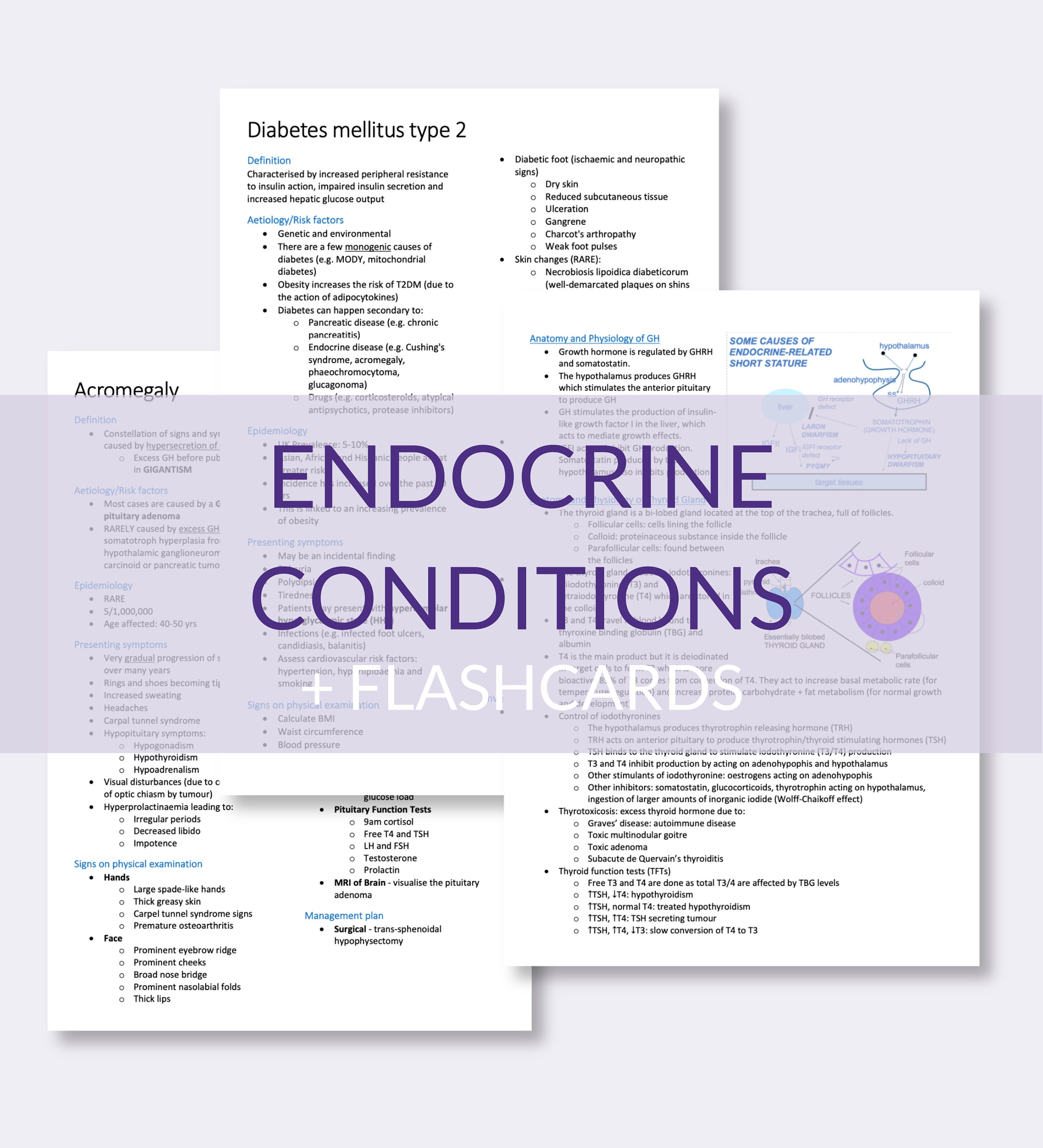 Endocrinology Conditions With Flashcards | Medical School Study Guide ...