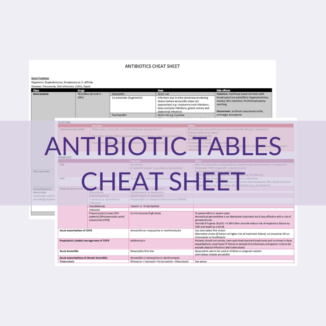Antibiotic Tables Cheat Sheet - Etsy