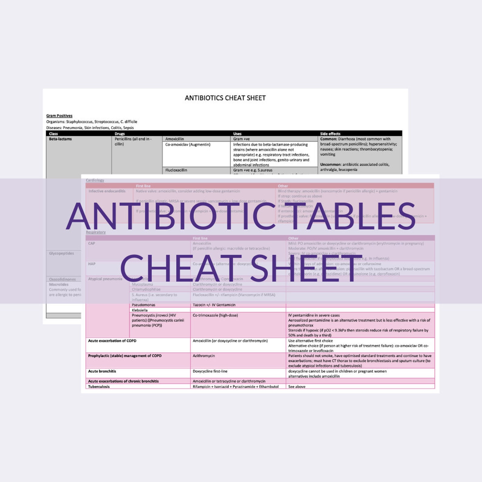 Antibiotic Tables Cheat Sheet - Etsy