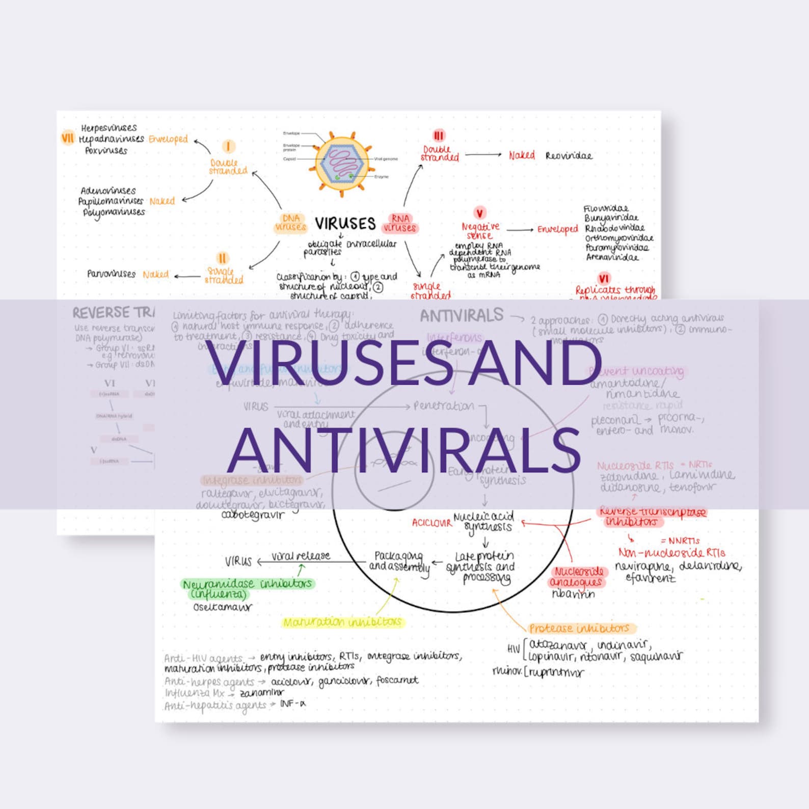 Viruses and Antivirals Cheat Sheet - Etsy