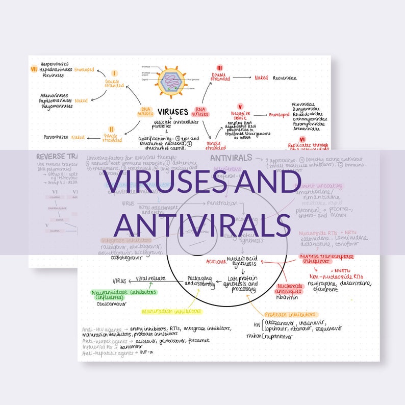 Viruses and Antivirals Cheat Sheet - Etsy