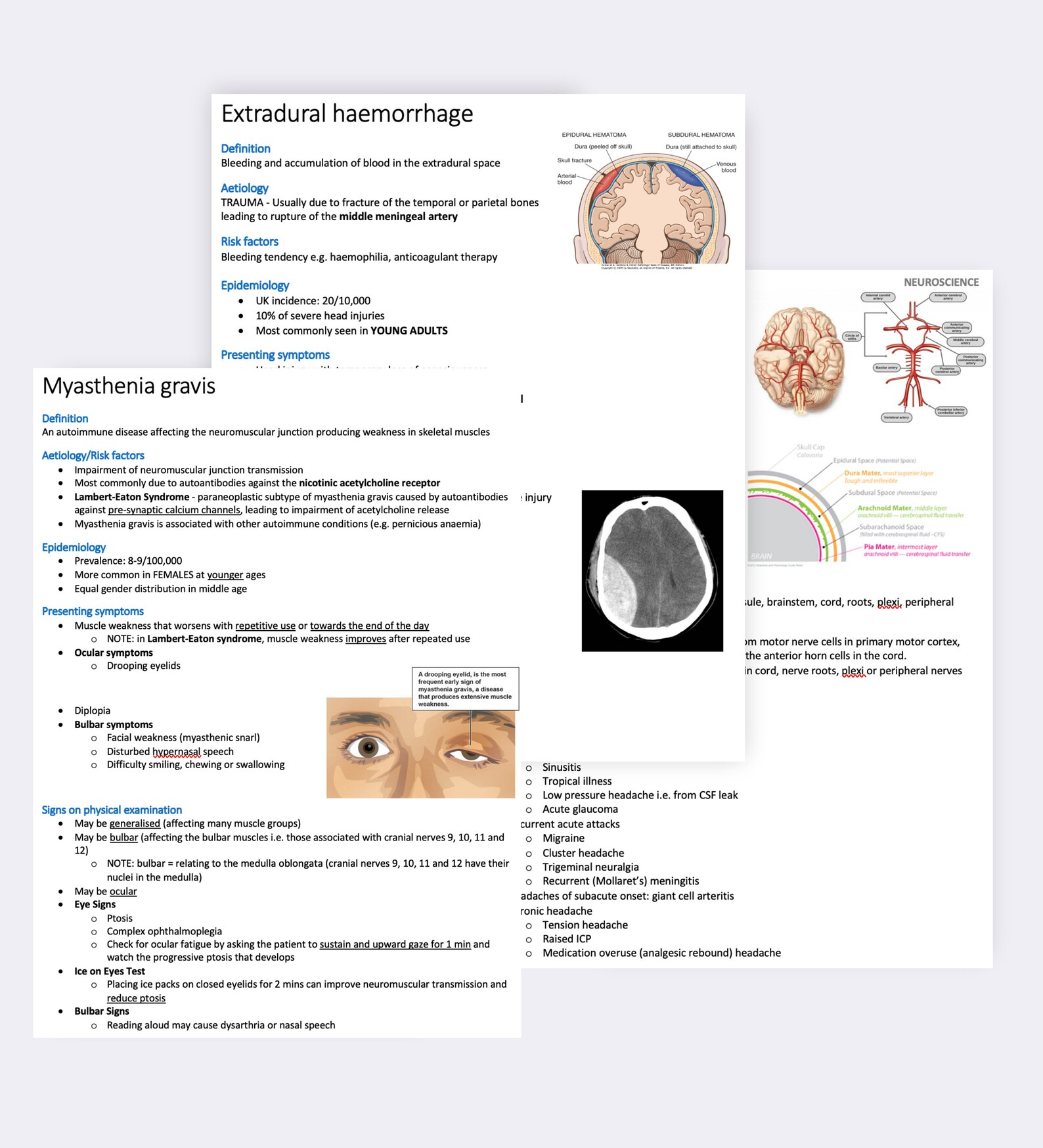 Neurology/neuroscience Conditions With Flashcards | Medical School ...