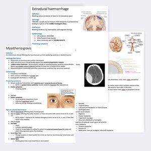 Neurology/neuroscience Conditions With Flashcards | Medical School ...