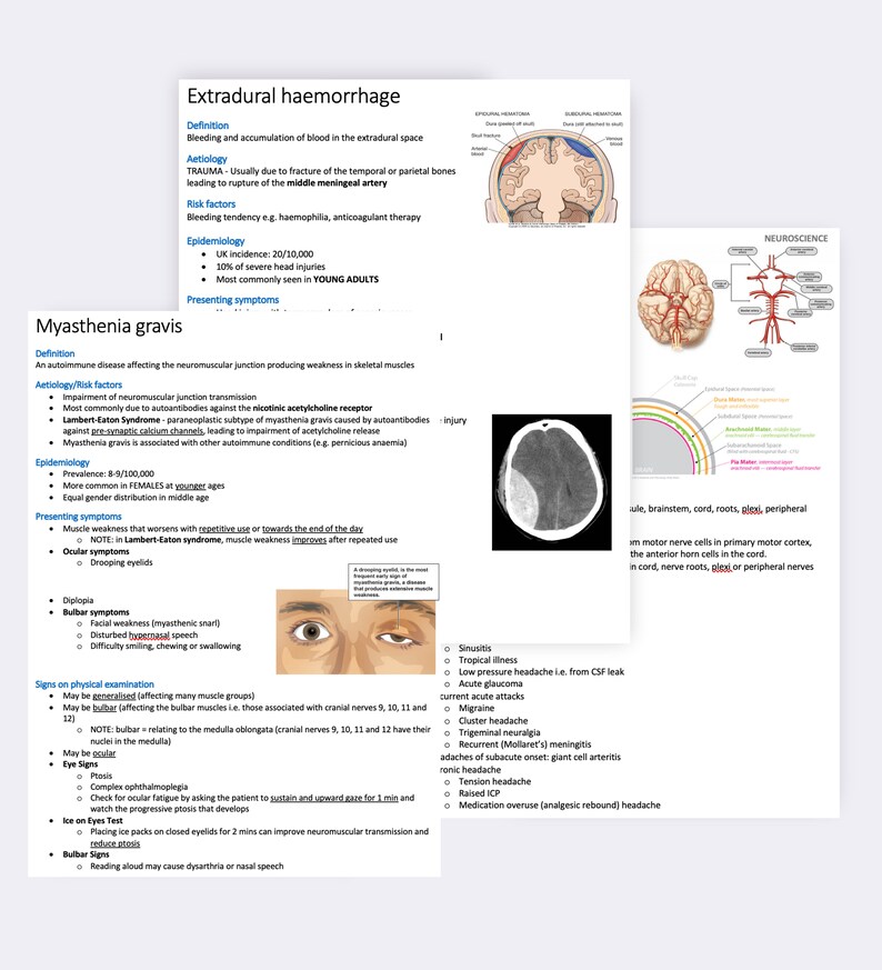 Neurology/neuroscience Conditions With Flashcards | Medical School ...