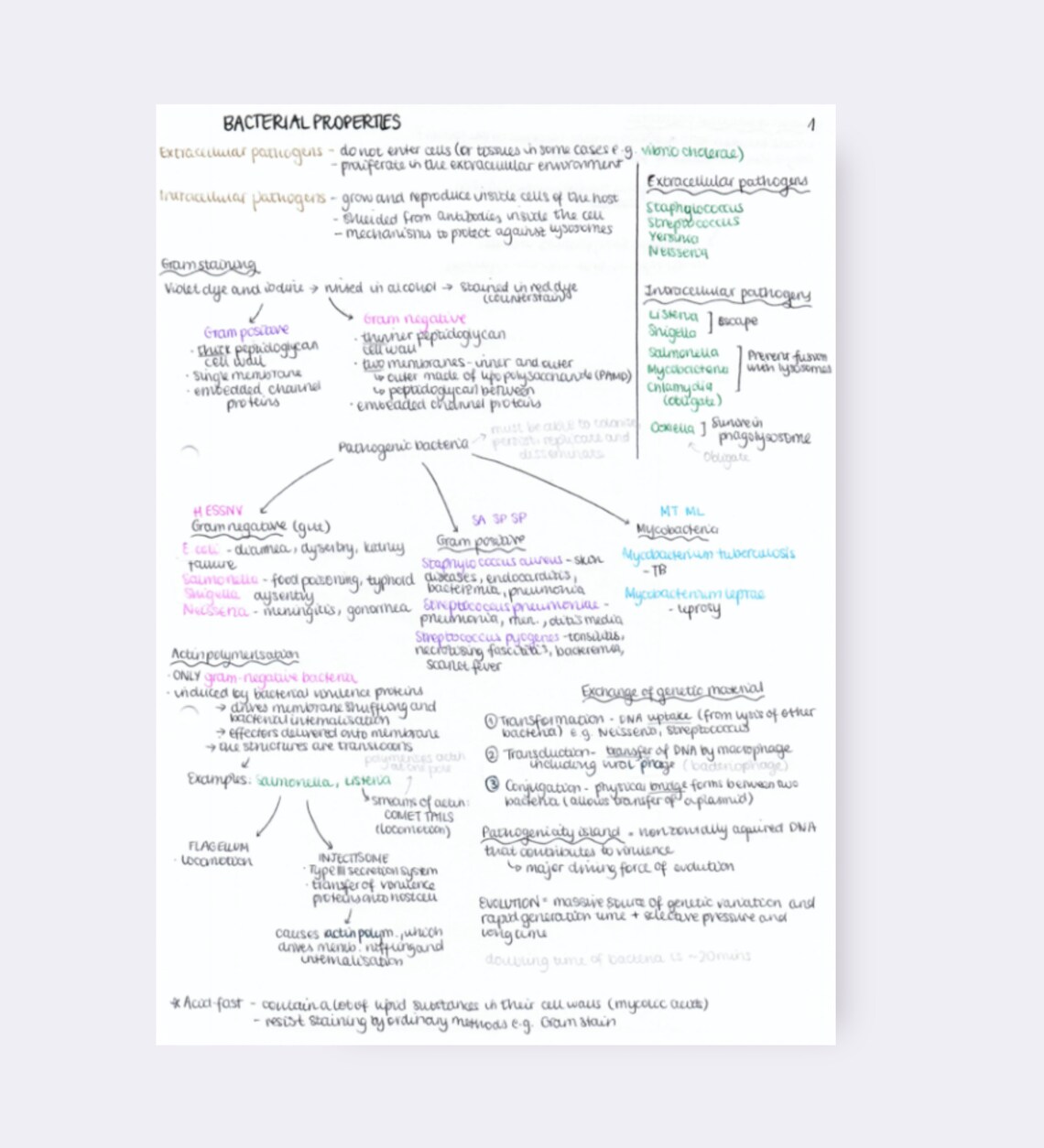Microbiology Basics Medical School Study Guide Handwritten Notes - Etsy