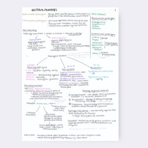 Microbiology Basics Medical School Study Guide Handwritten Notes - Etsy