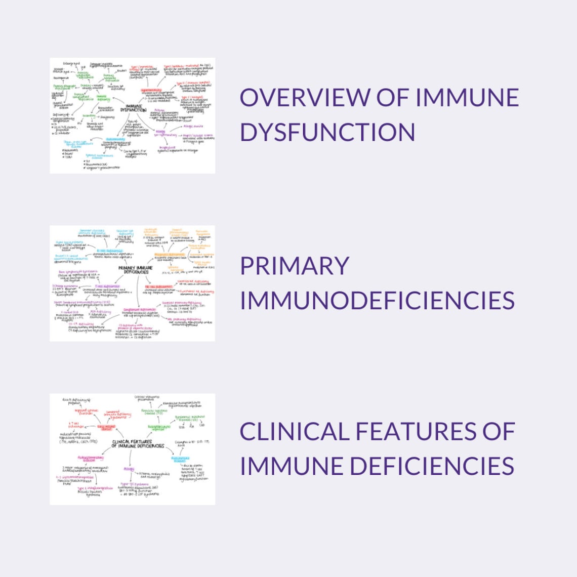 Immune Deficiencies Cheat Sheet - Etsy