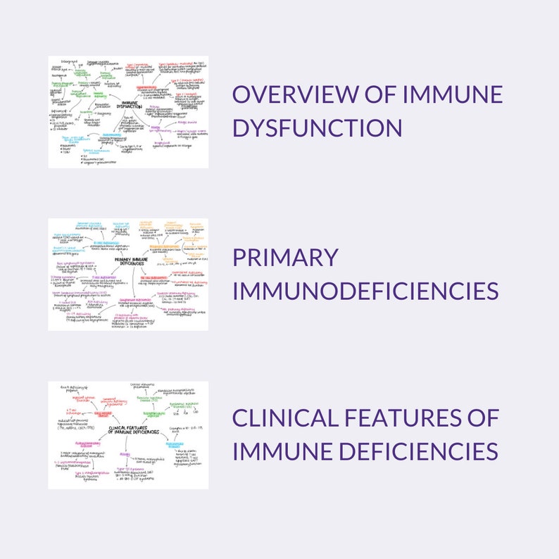 Immune Deficiencies Cheat Sheet - Etsy