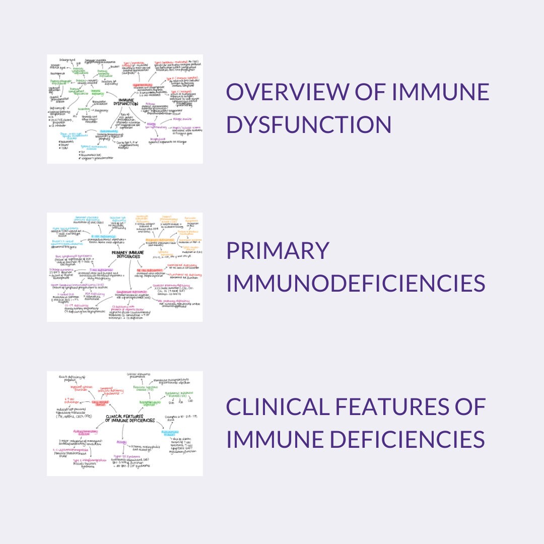 Immune Deficiencies Cheat Sheet - Etsy