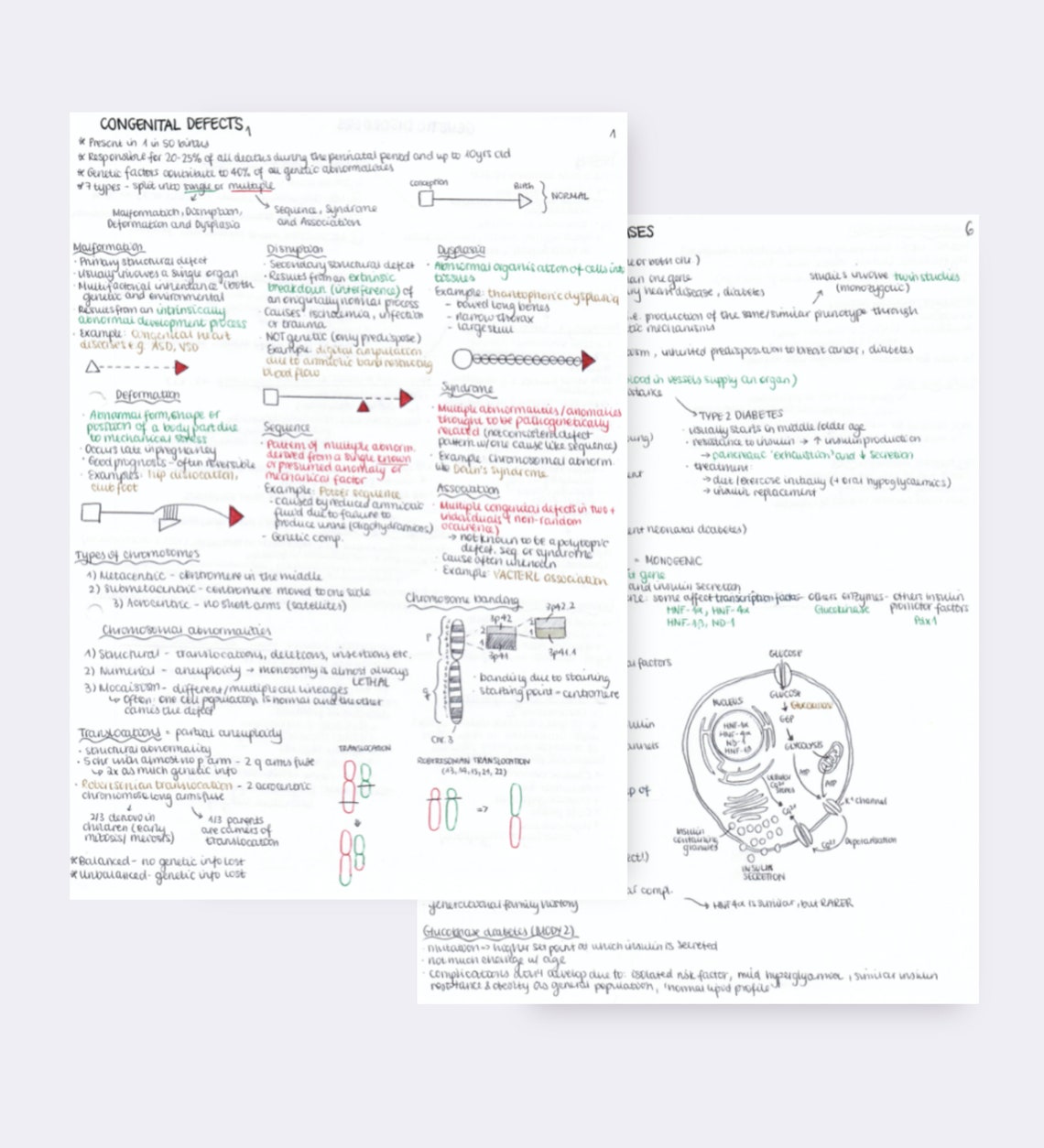 Genetics Medical School Study Guide | Handwritten Notes - Etsy