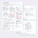 Genetics Medical School Study Guide | Handwritten Notes - Etsy