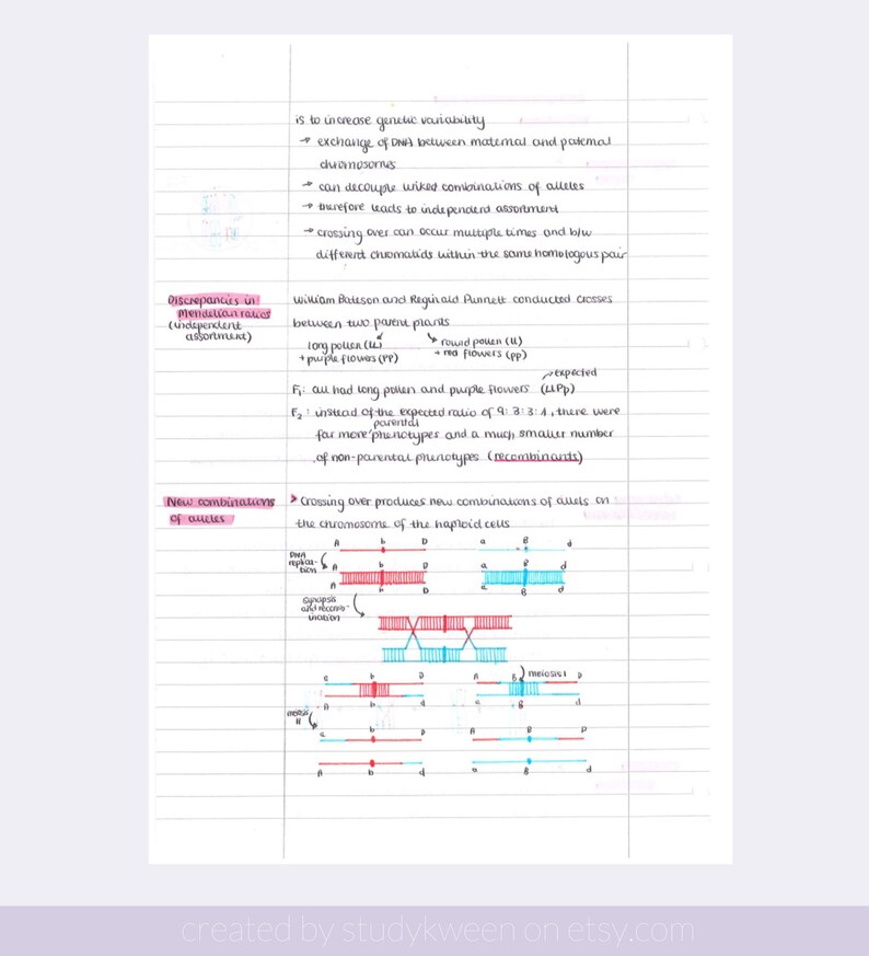 IB Biology Notes SL and HL Handwritten Revision Notes Study Guide ...