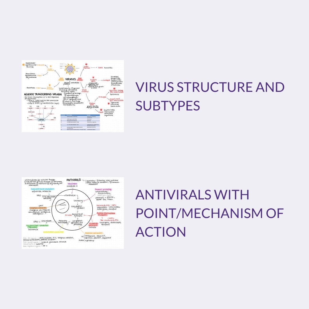 Viruses and Antivirals Cheat Sheet - Etsy