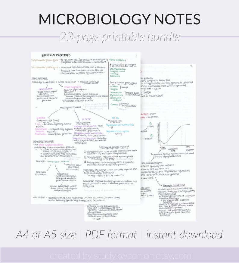 Microbiology Basics Medical School Study Guide Handwritten Notes - Etsy