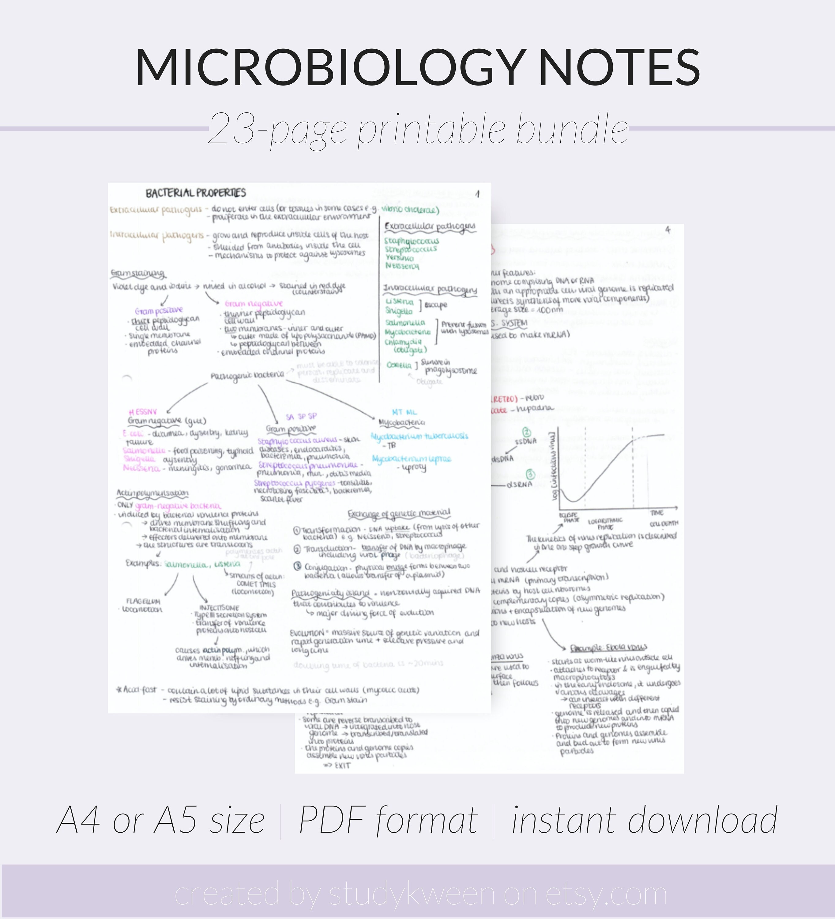 Microbiology Basics Medical School Study Guide Handwritten Notes - Etsy