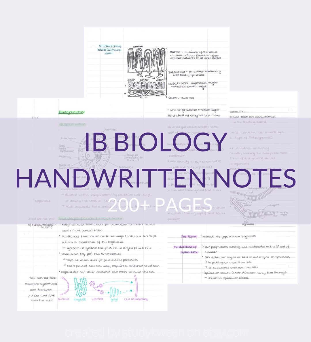 IB Biology Notes SL and HL | Handwritten Revision Notes | Study Guide ...