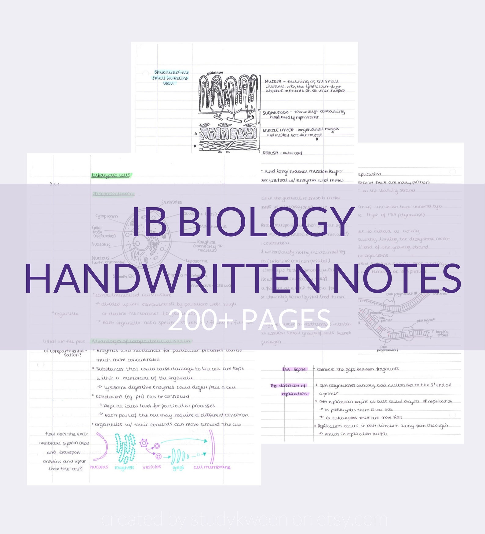 IB Biology Notes SL and HL | Handwritten Revision Notes | Study Guide ...