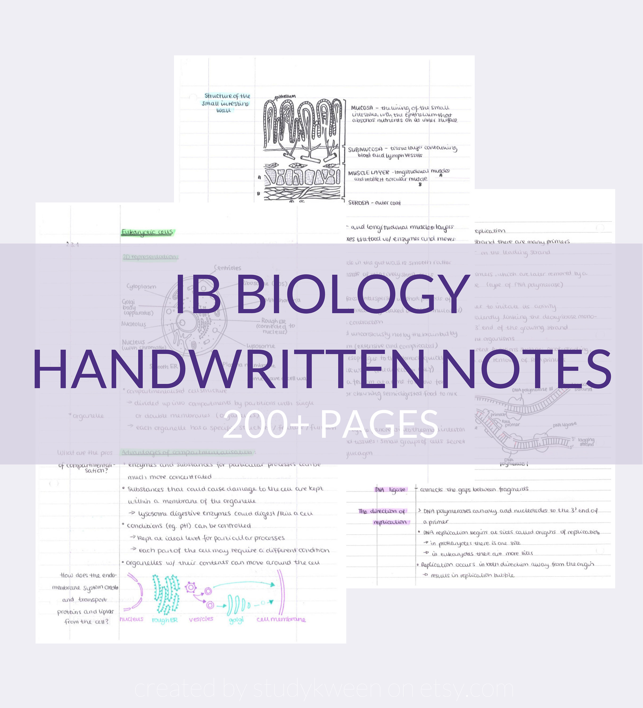 IB Biology Notes SL and HL | Handwritten Revision Notes | Study Guide ...