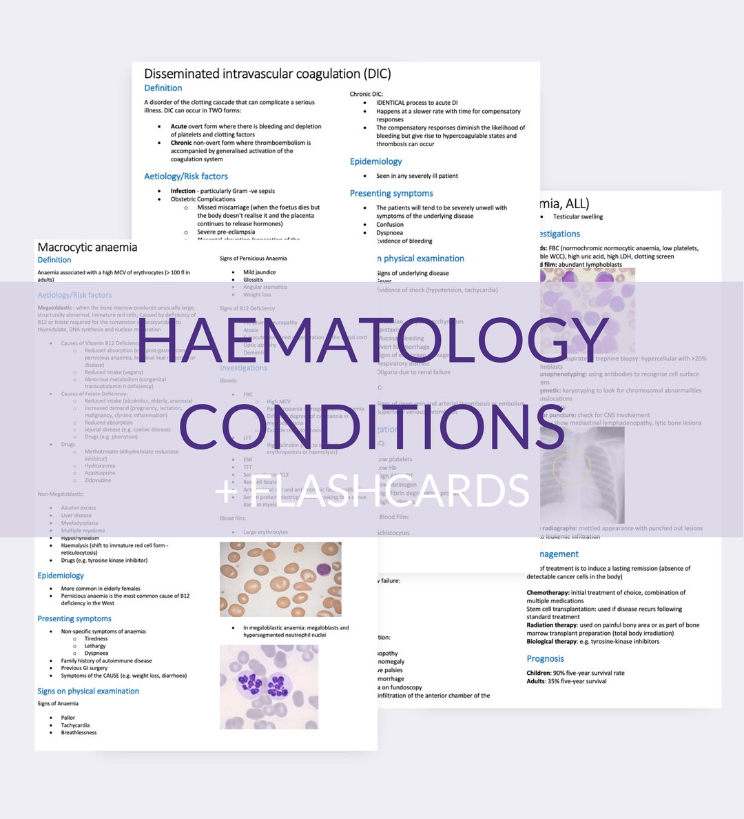 Haematology Conditions With Flashcards | Medical School Study Guide ...