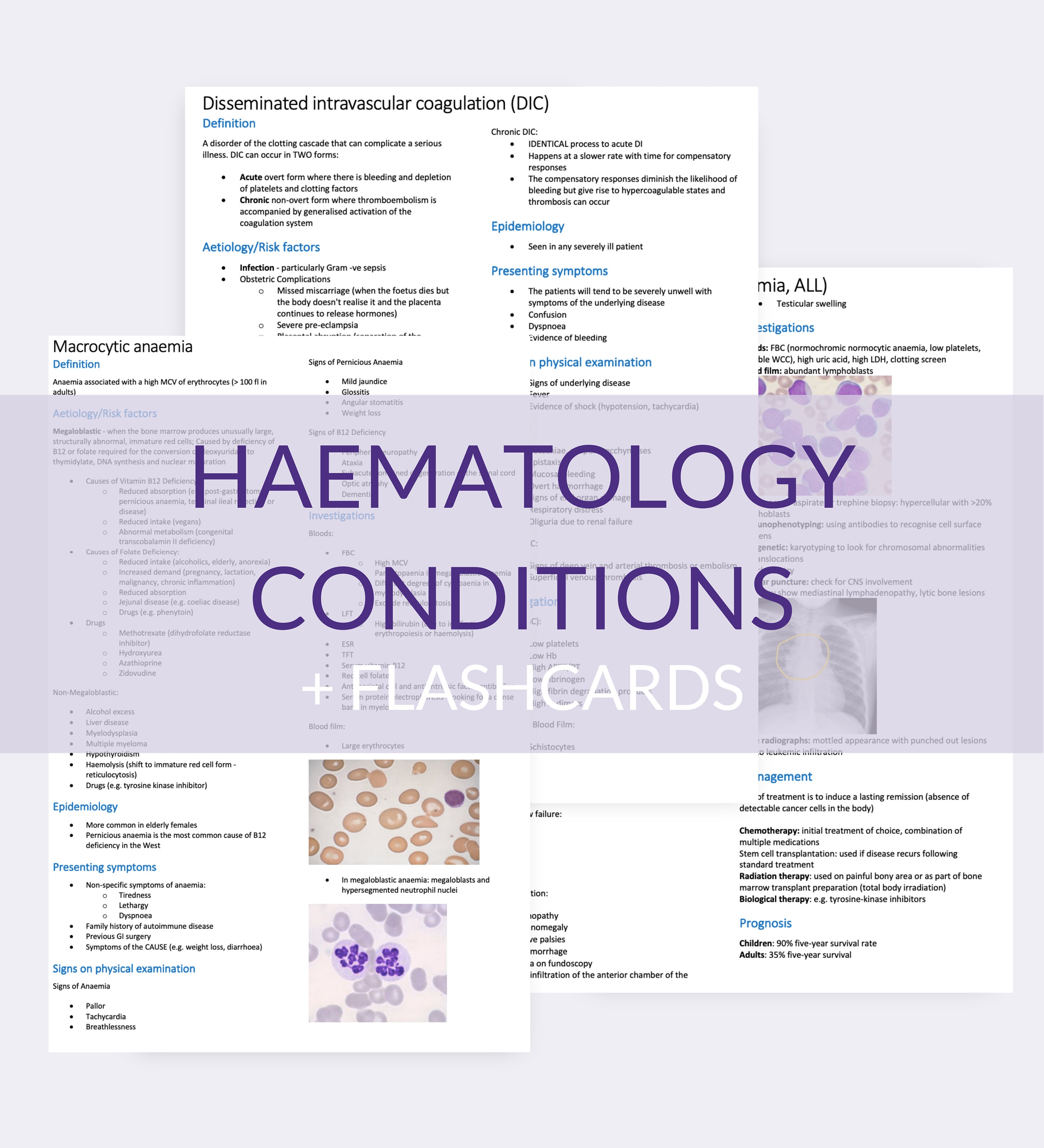 Haematology Conditions With Flashcards | Medical School Study Guide ...