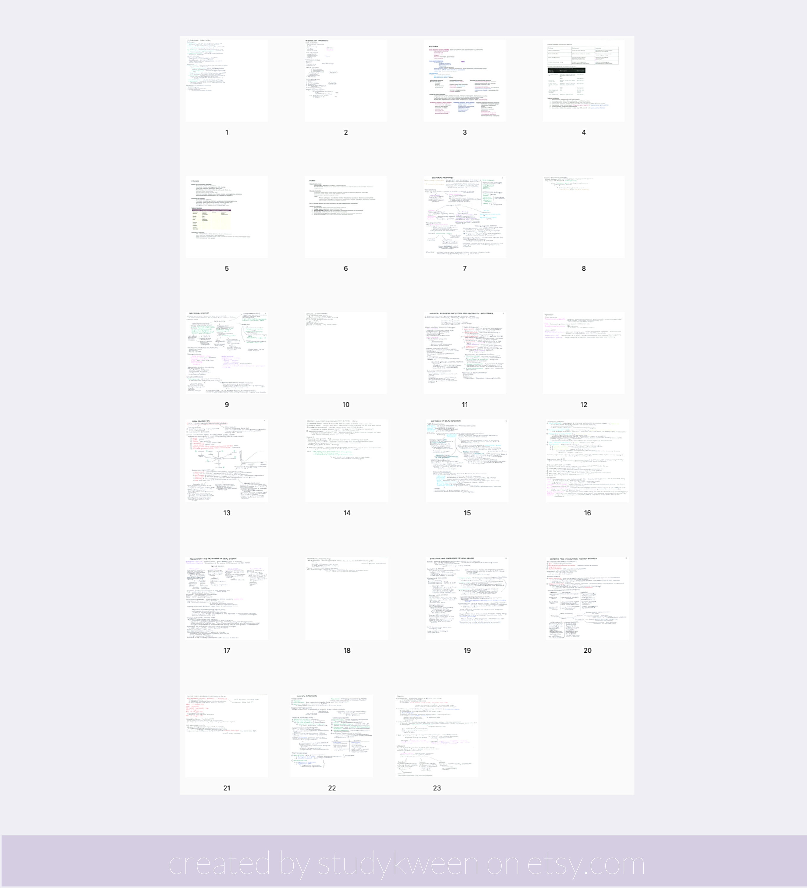 Microbiology Basics Medical School Study Guide Handwritten Notes - Etsy