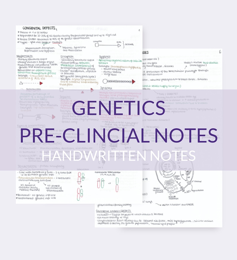 Genetics Medical School Study Guide Handwritten Notes - Etsy